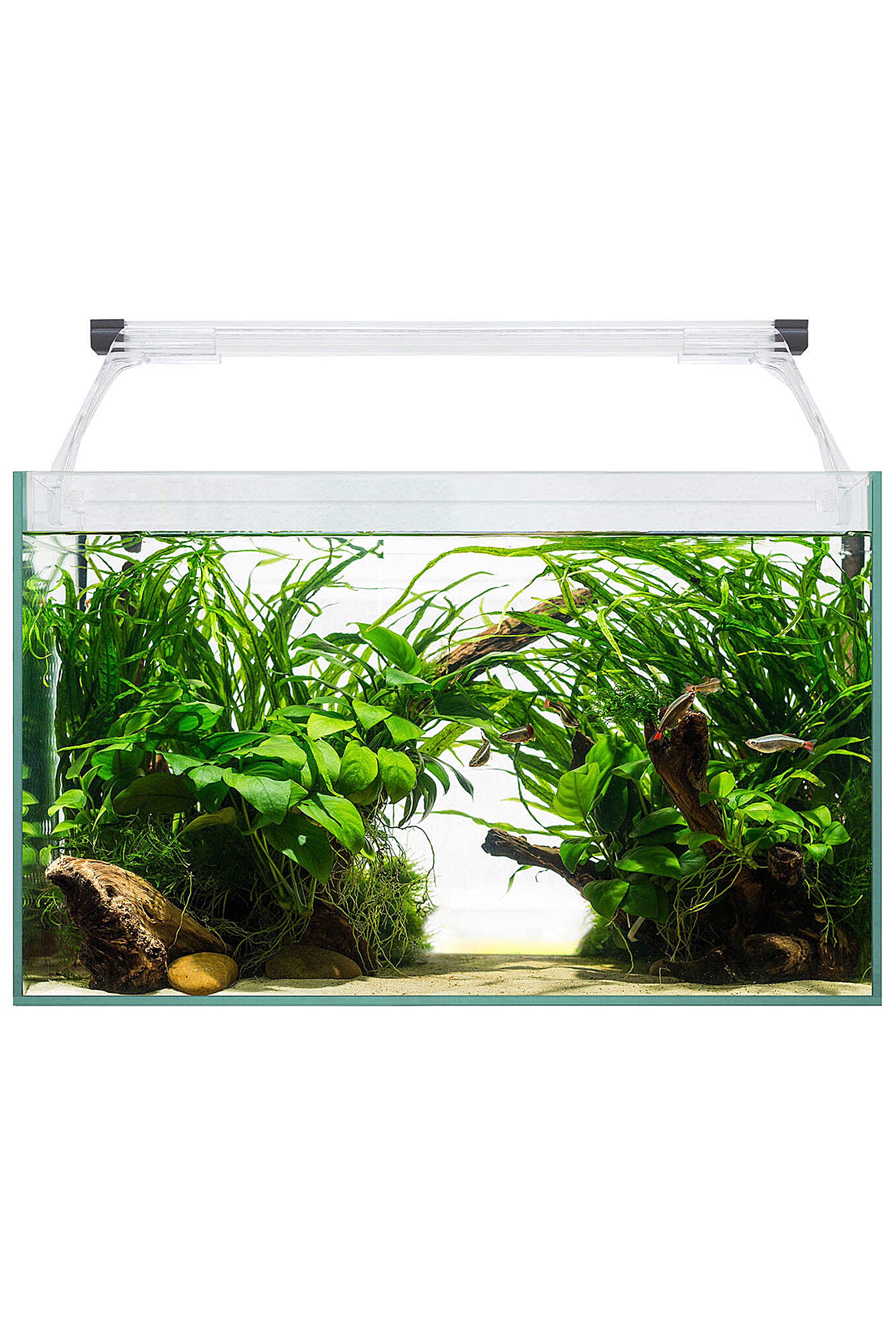 Acuario Kit AquaLight Glass 40 de 21 litros – umdale.com