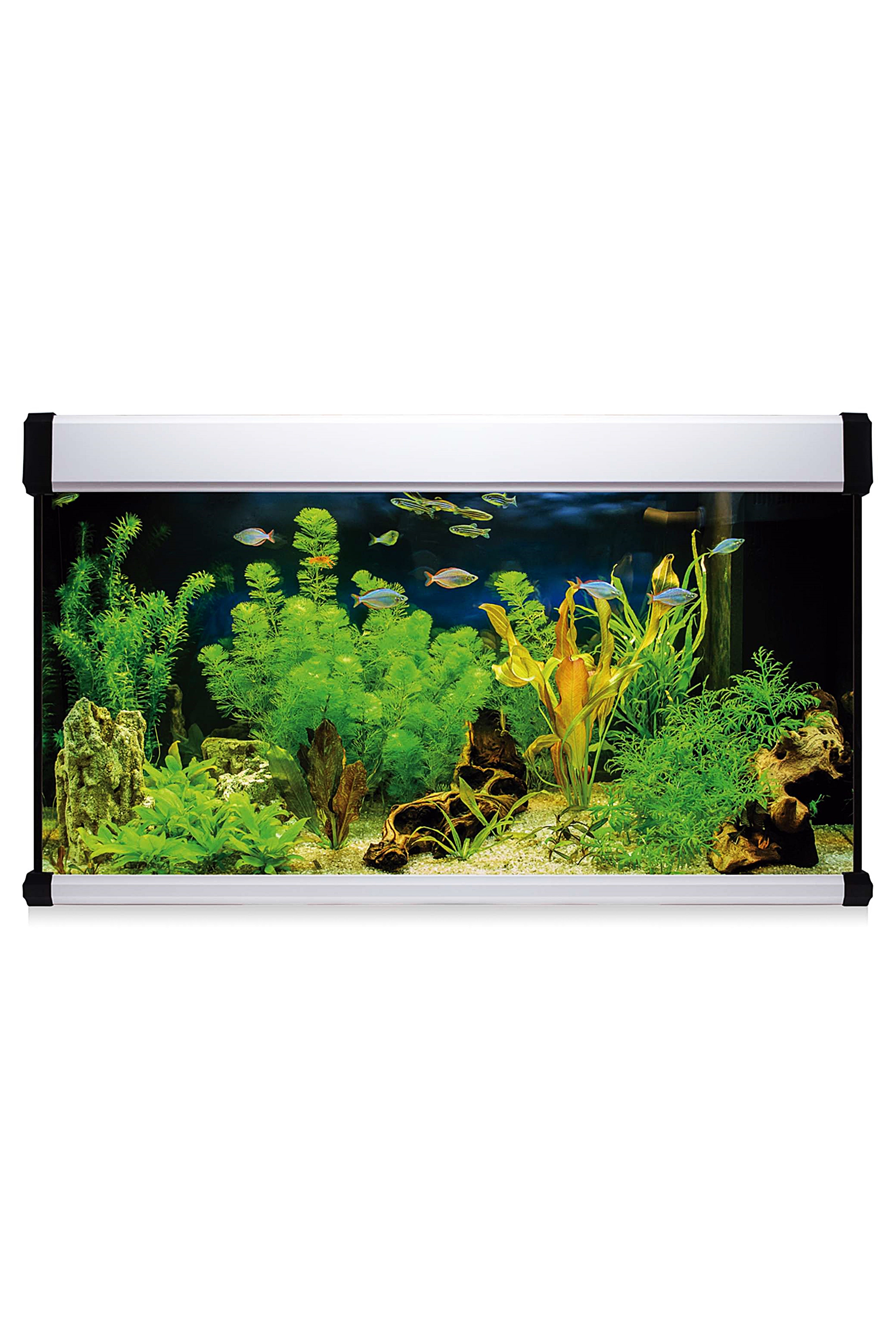 Kit AquaLUX PRO 300 - Acuario de 300 litros Blanco – umdale.com