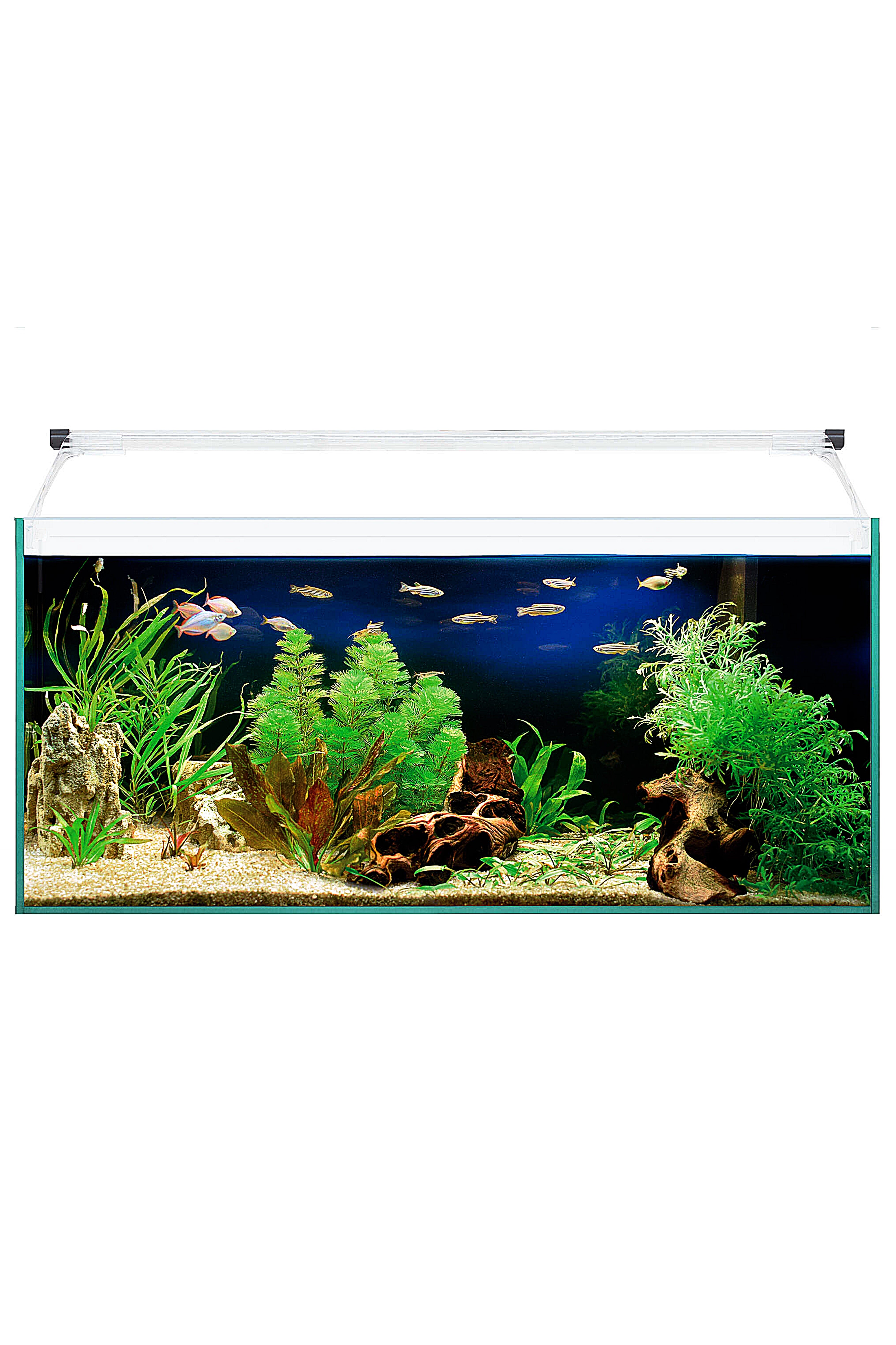 Acuario Kit AquaLight Glass 80 de 76 litros – umdale.com