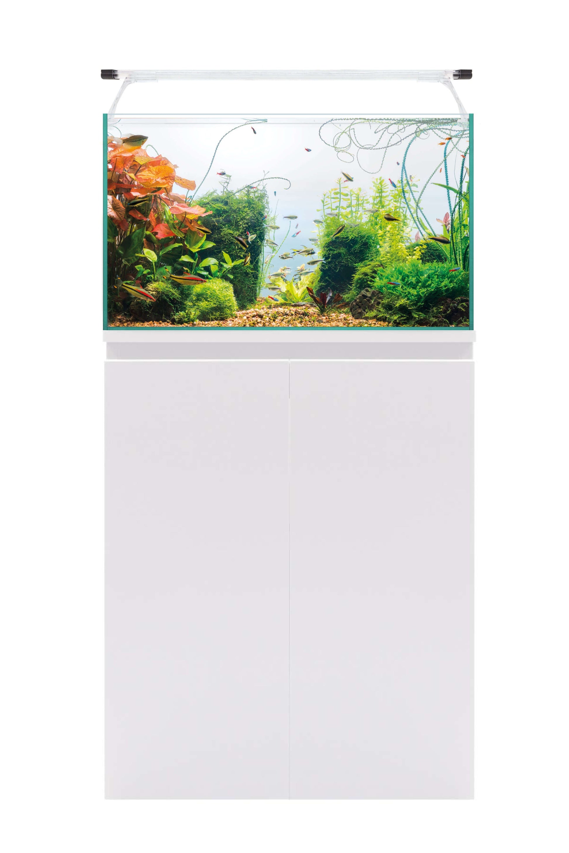 Acuario AquaLight Glass 60 de 52 litros con mueble – umdale.com
