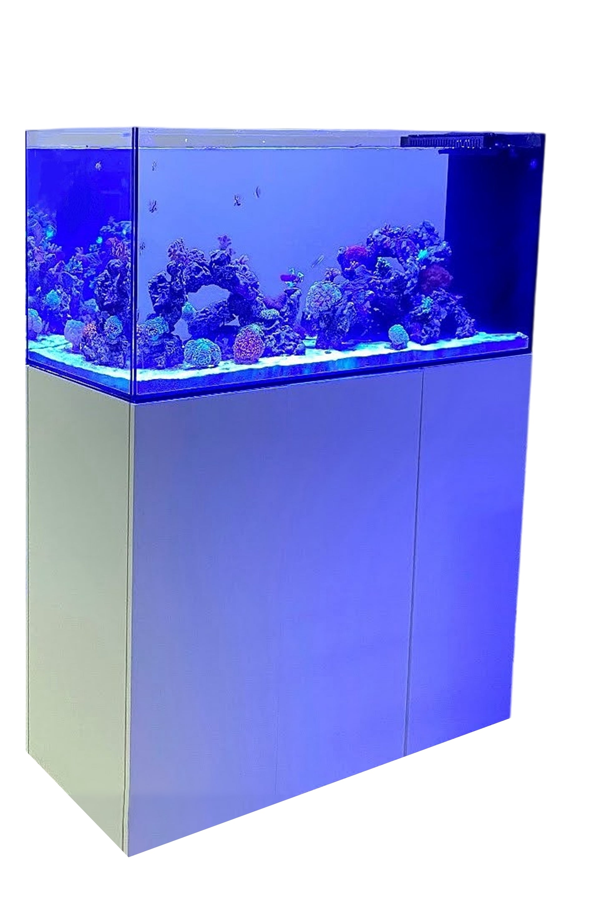 WATERBOX - Acuario PENINSULA de 300 litros con mueble Blanco – umdale.com